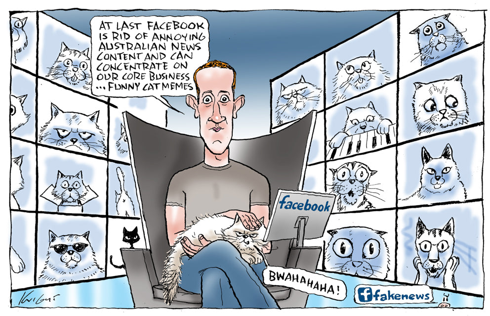 Facebook's Mark Zuckerberg and Cat Memes | Celebrity Cartoon – Knight ...
